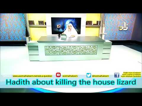 The hadith about the salamanders(house lizards) goes like when prophet ...